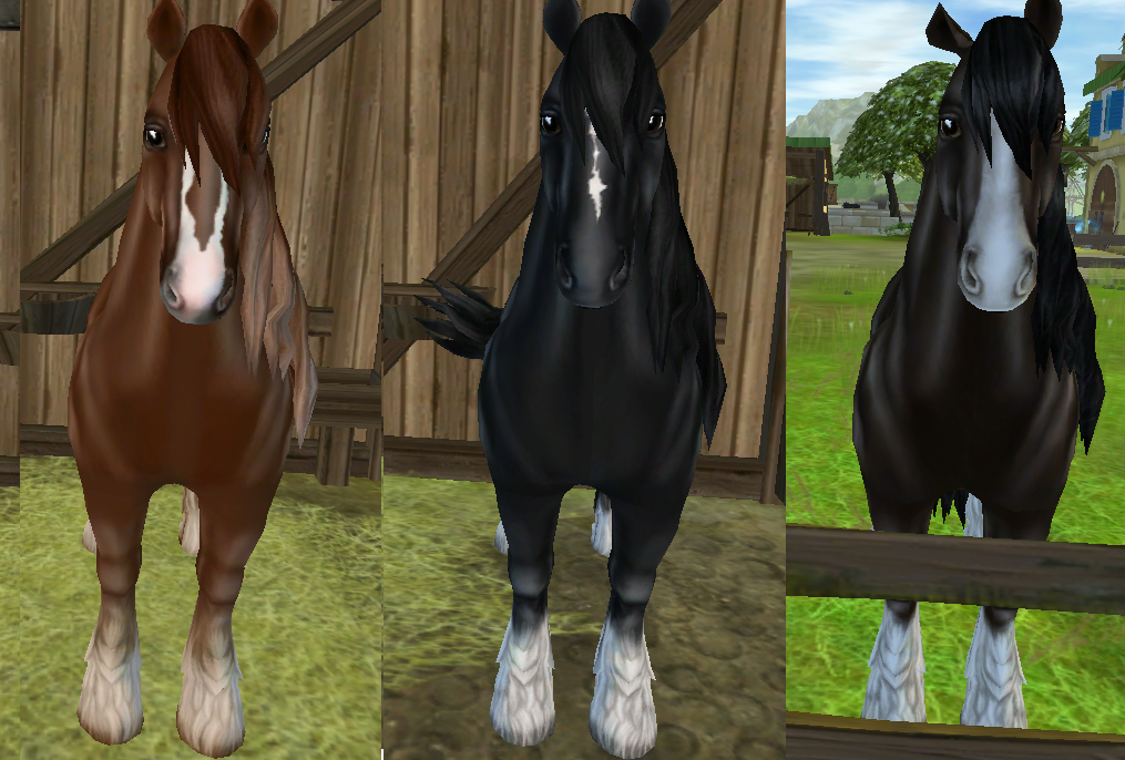 Shire VS Morgan ( SSO ) - Zapytaj.onet.pl