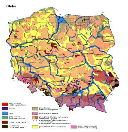 Gdzie występują gleby bielicowe, czrnoziemy, brunatne oraz mady rzeczne ...