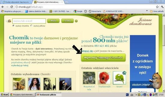 Dlaczego nie otwiera mi się chomikuj.pl? - Zapytaj.onet.pl
