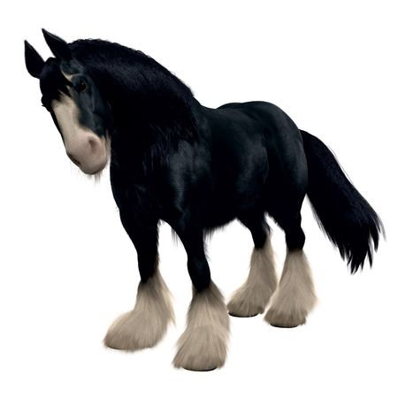 Koń Meridy z filmu merida waleczna jaka to rasa konia ? - Zapytaj.onet.pl