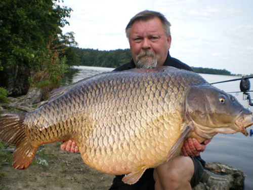 Nowy Rekord Polski Karp 37,5kg - Zapytaj.onet.pl