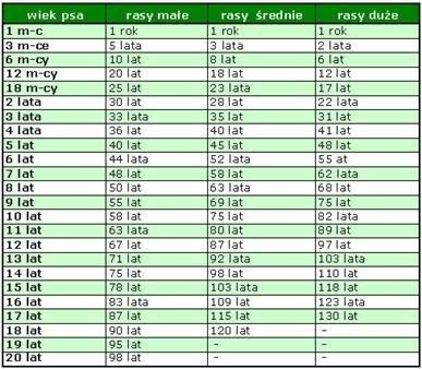 Jak się liczy psie lata? - Zapytaj.onet.pl