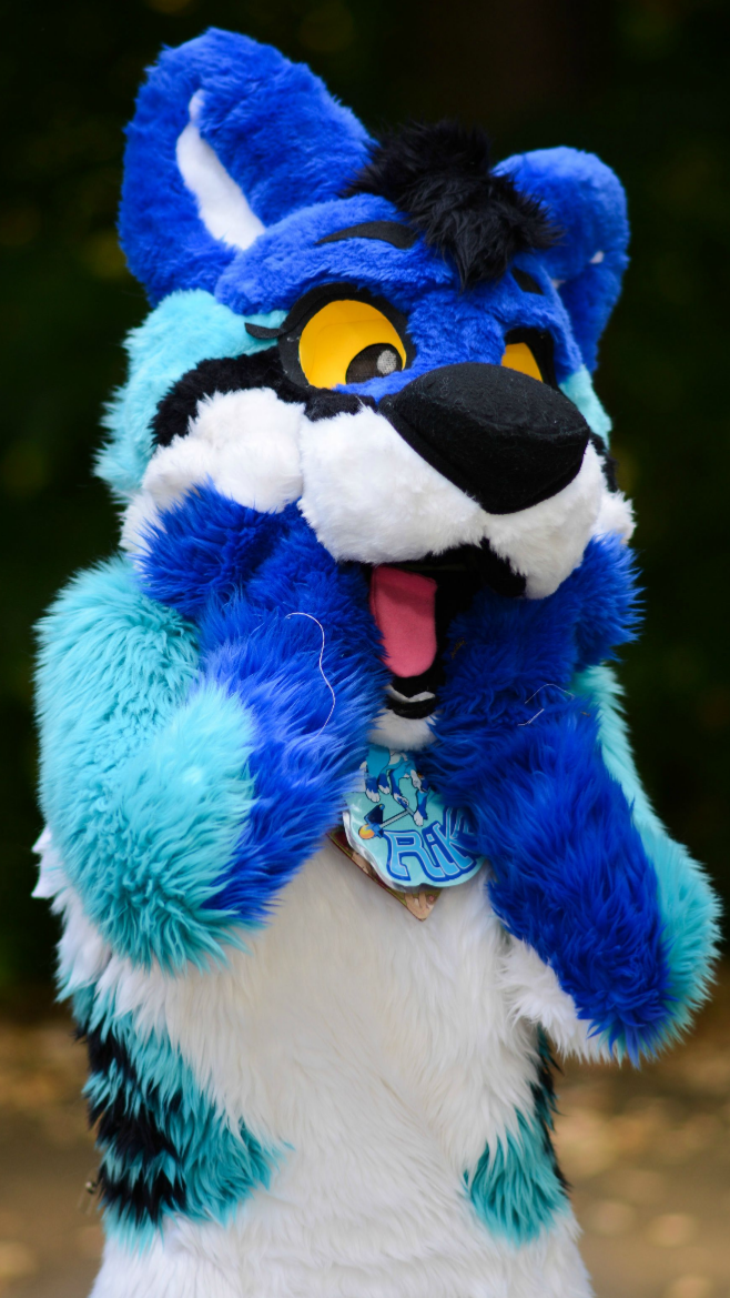 Gdzie Kupi Takie Futerko Do Fursuit Zapytaj onet pl