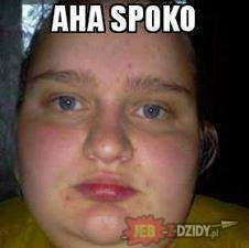 Ma ktoś zapisany na kompie ten obrazek z napisem "aha spoko"? :D ...