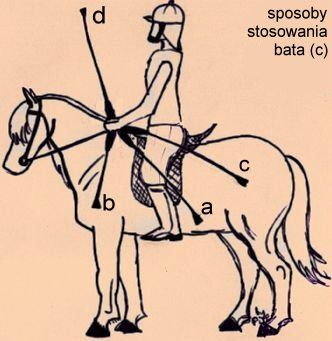 Jak używać palcata, bata? - Zapytaj.onet.pl